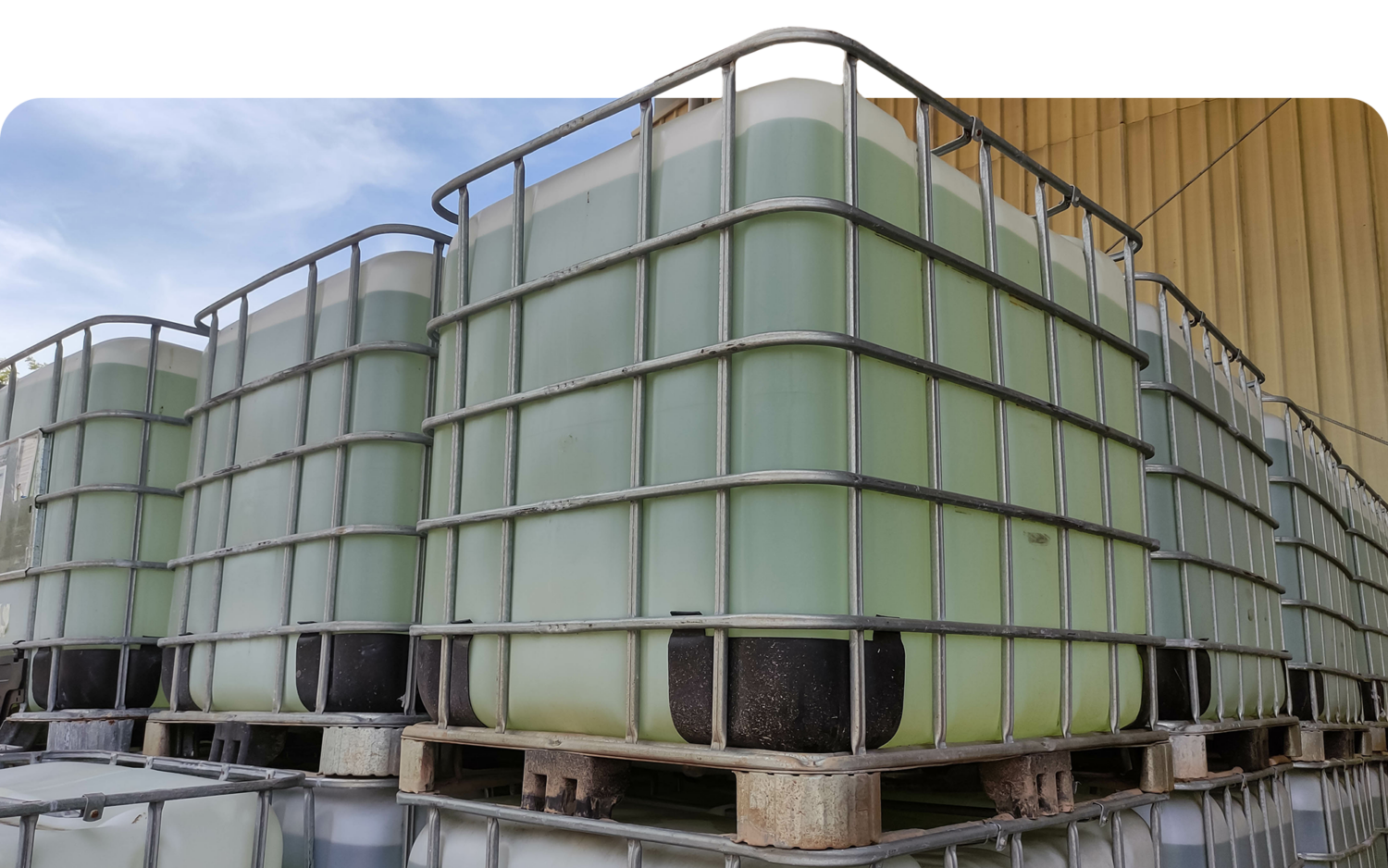 We Want Your Stinking Business | R&R Sanitation