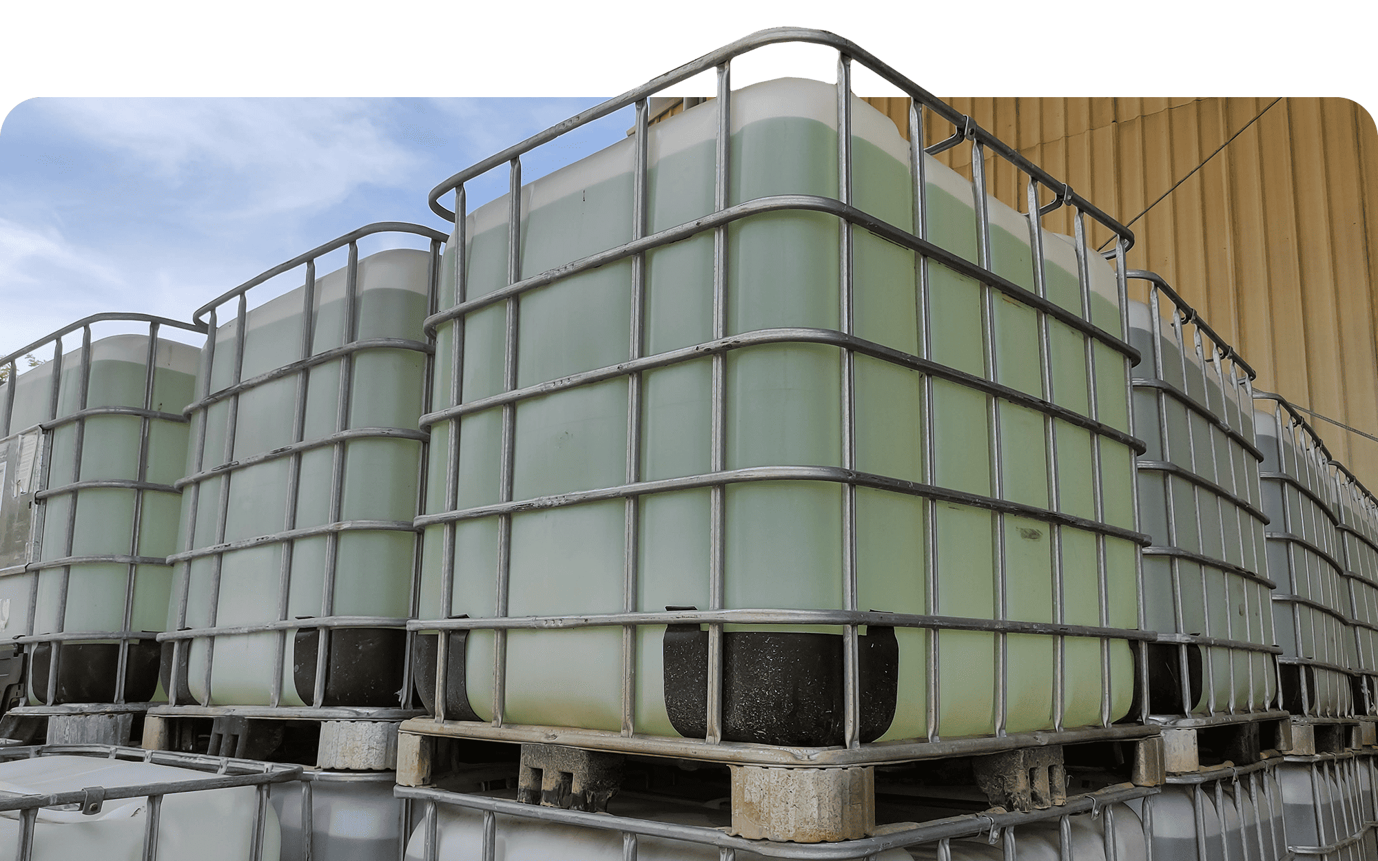 We Want Your Stinking Business | R&R Sanitation